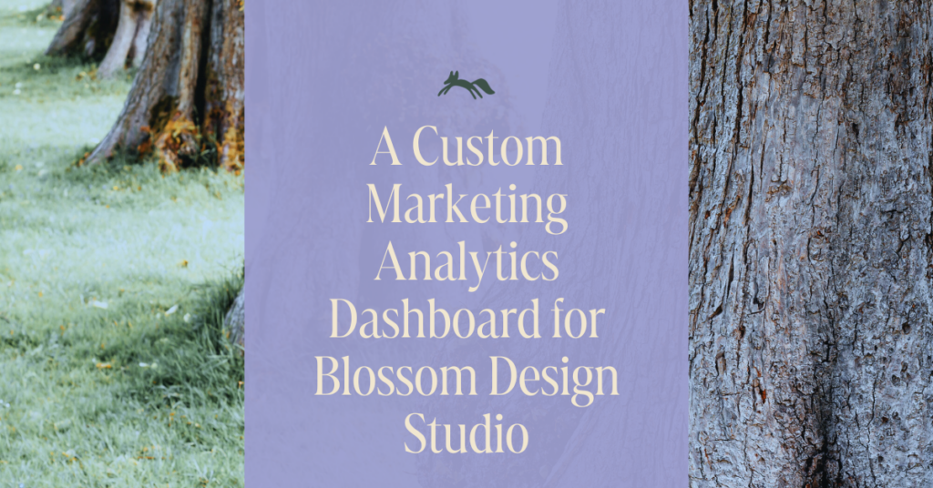 Case Study: Custom Marketing Analytics Setup for Copywriter